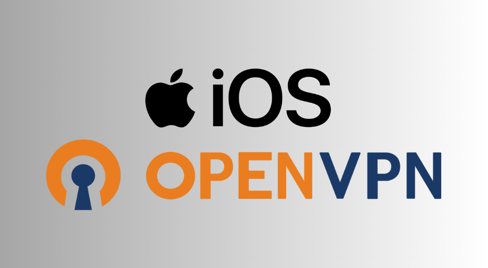 Vector Link - iOS OpenVPN Manual Setup Guide