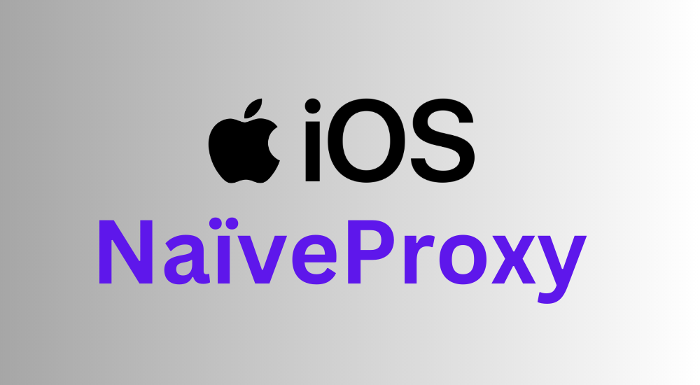 Vector Link - iOS NaiveProxy Manual Setup Guide