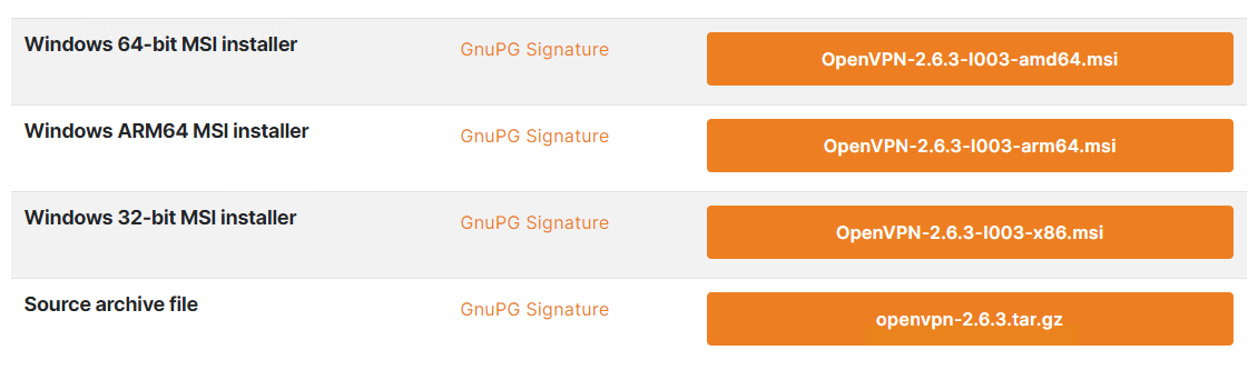 Vector Link - Windows OpenVPN Manual Setup Guide