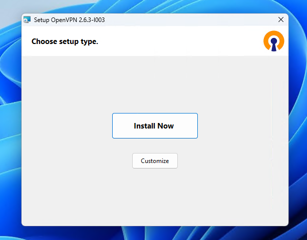 Vector Link - Windows OpenVPN Manual Setup Guide