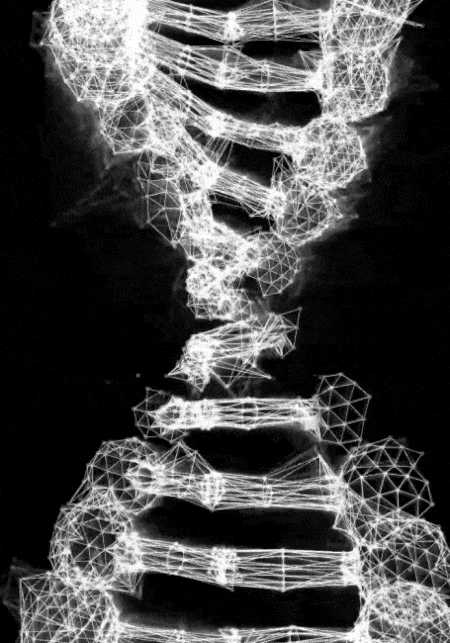 Structurals - Generative visuals