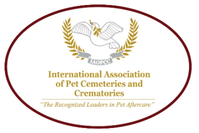 Resting Rainbow | Home