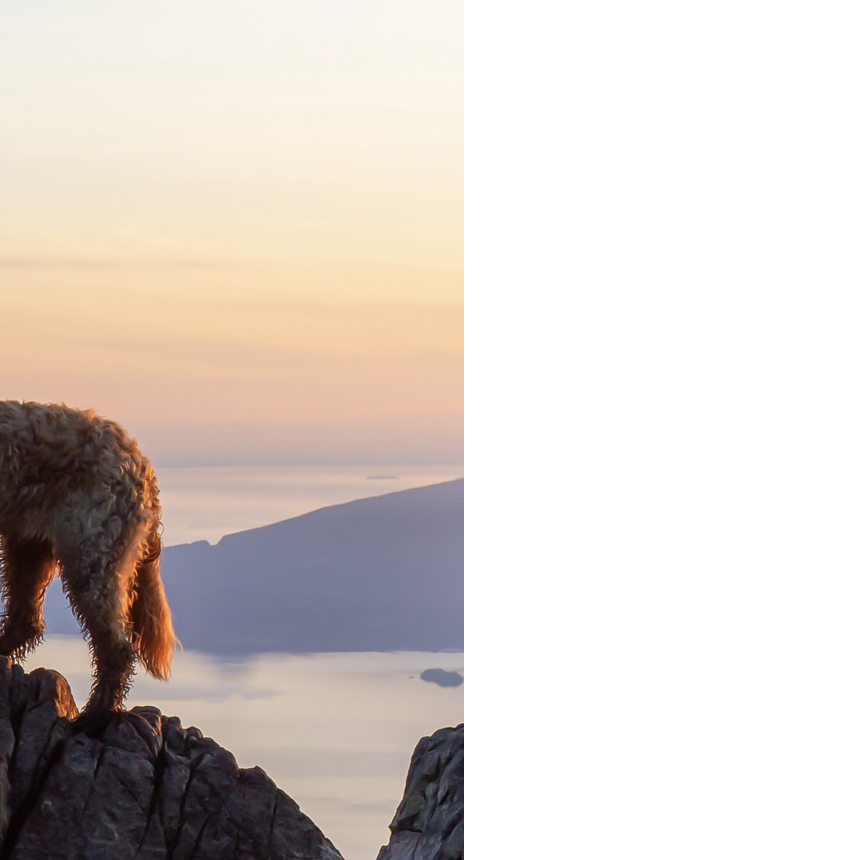 Starlight Development