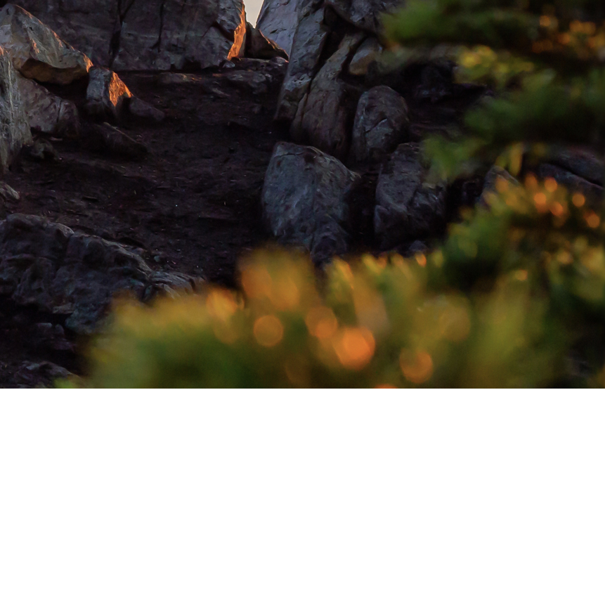 Starlight Development