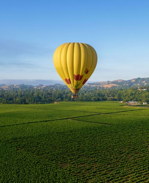 Napa Valley Balloons - Napa's Best Hot Air Balloons
