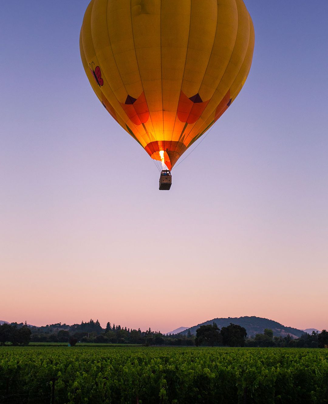 Napa Valley Balloons - Napa's Best Hot Air Balloons