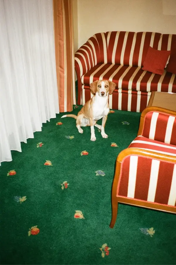 Valentin Cheli - Photographer