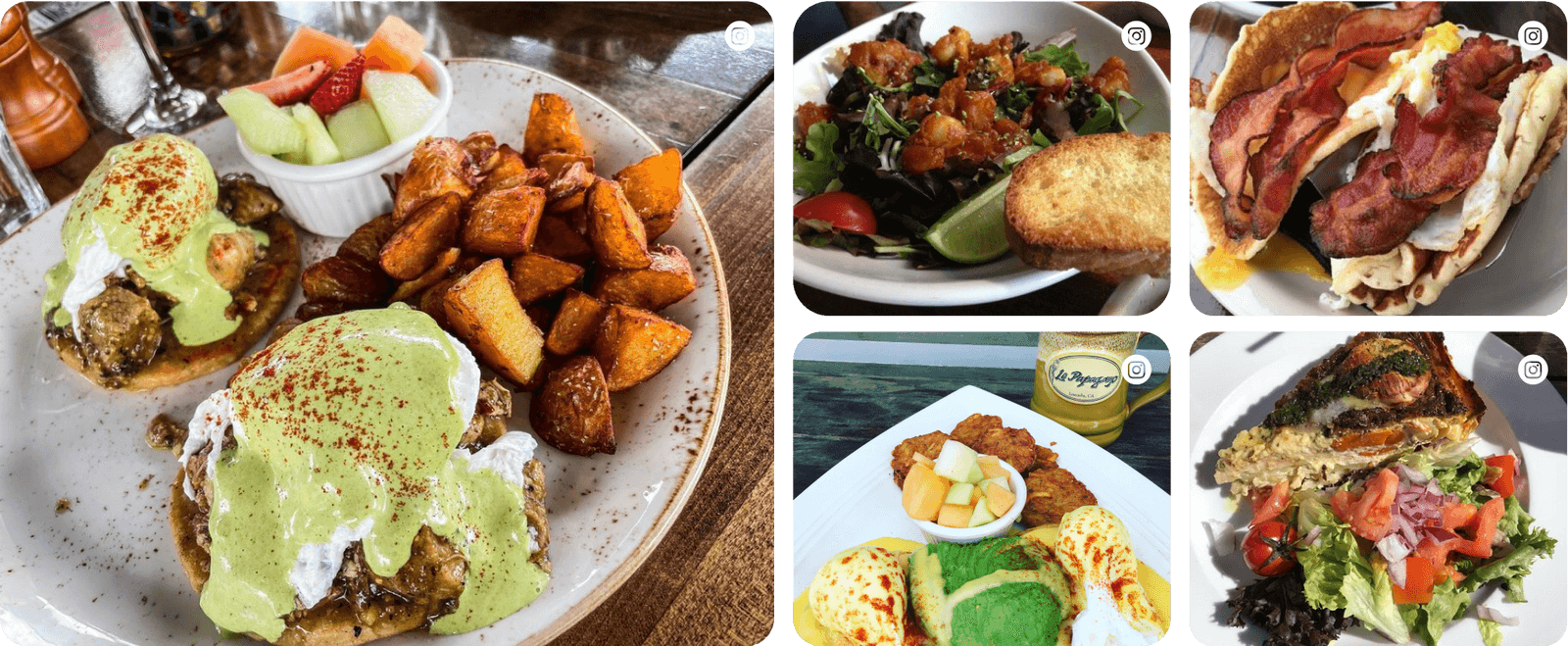 Le Papagayo Carlsbad - Restaurant