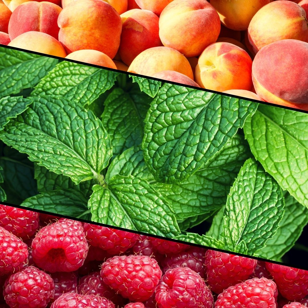 Home | A handcrafted premium taste experience.