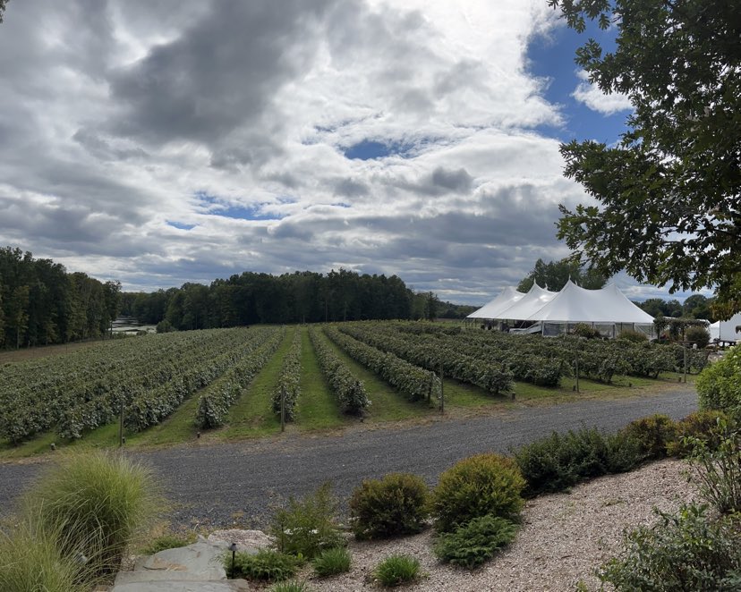 About - Two Hearts Vineyard