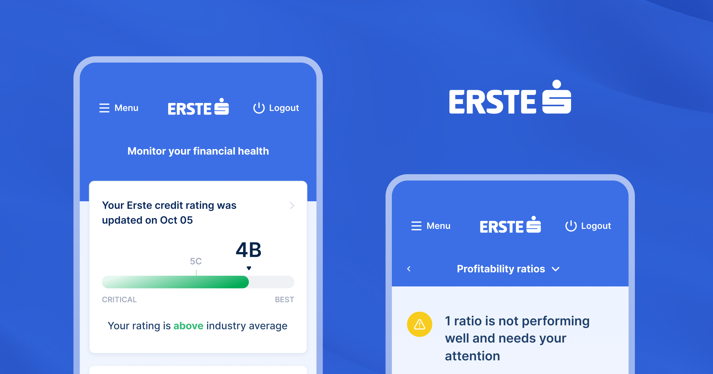 Financial Health (Erste) — Ismet Trako