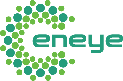 eneye | Visualizing Energy Losses.