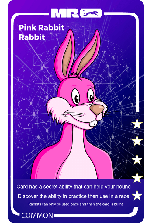 Muzzle Run | Greyhound NFT Racing