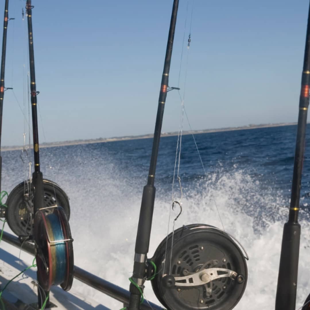 Can Office Staff Sign Your CG-719S Form? Know the Rules