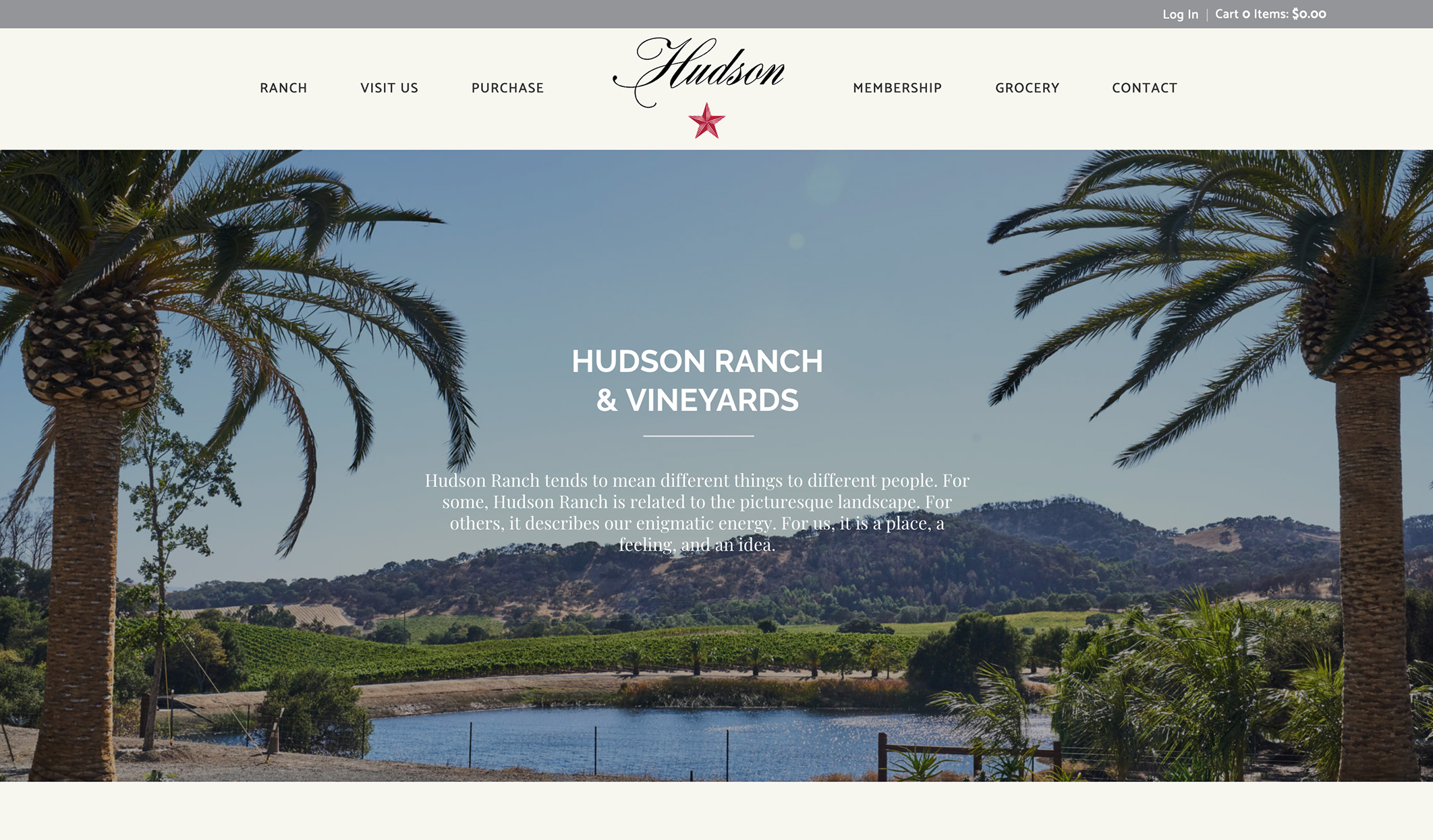 Amanda Wallace - Designer + Developer