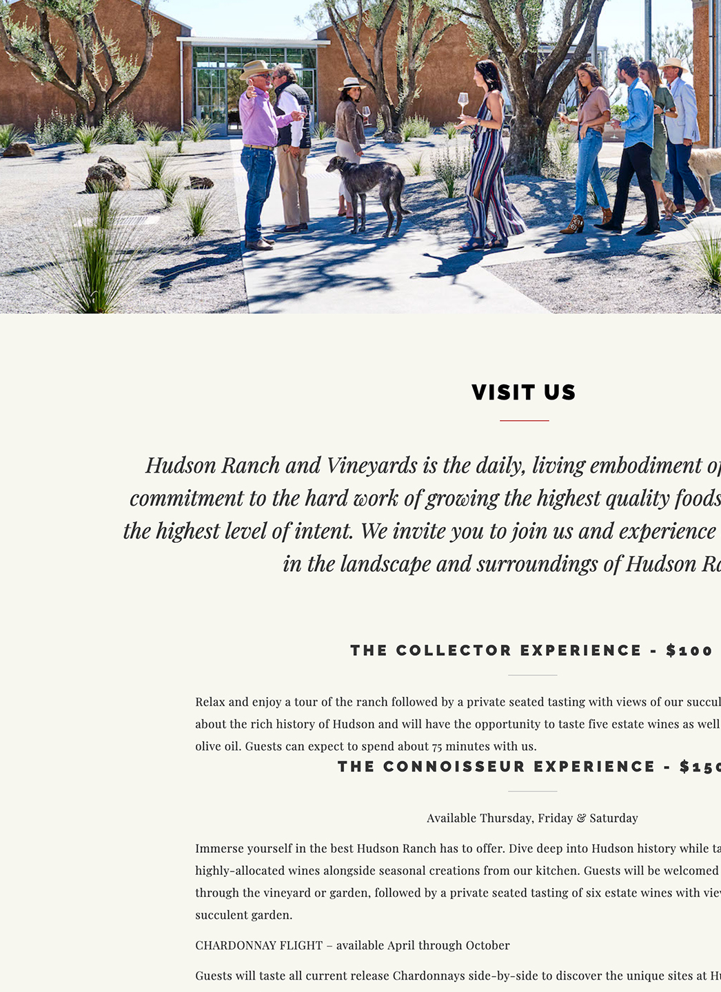 Amanda Wallace - Designer + Developer