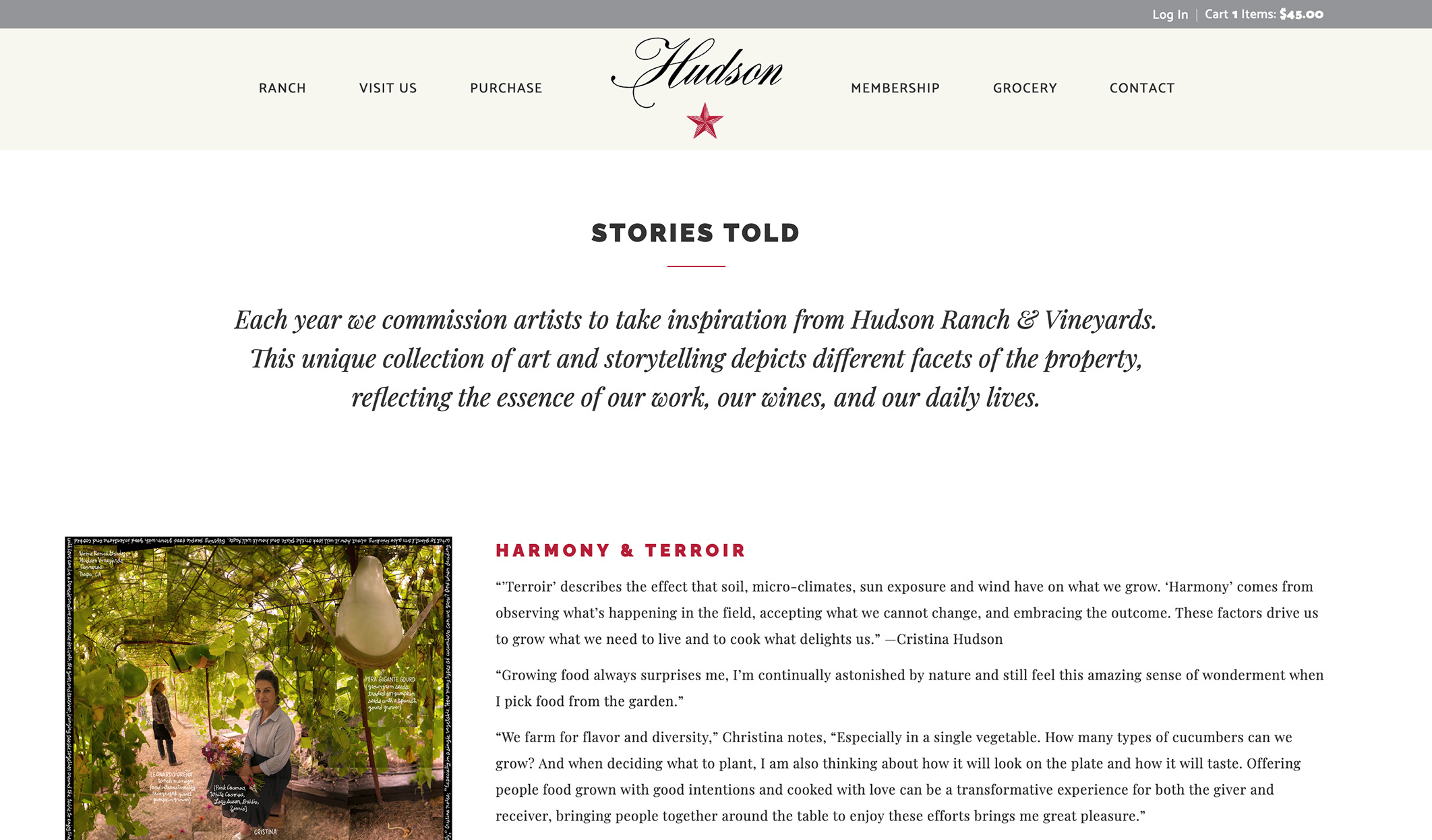 Amanda Wallace - Designer + Developer