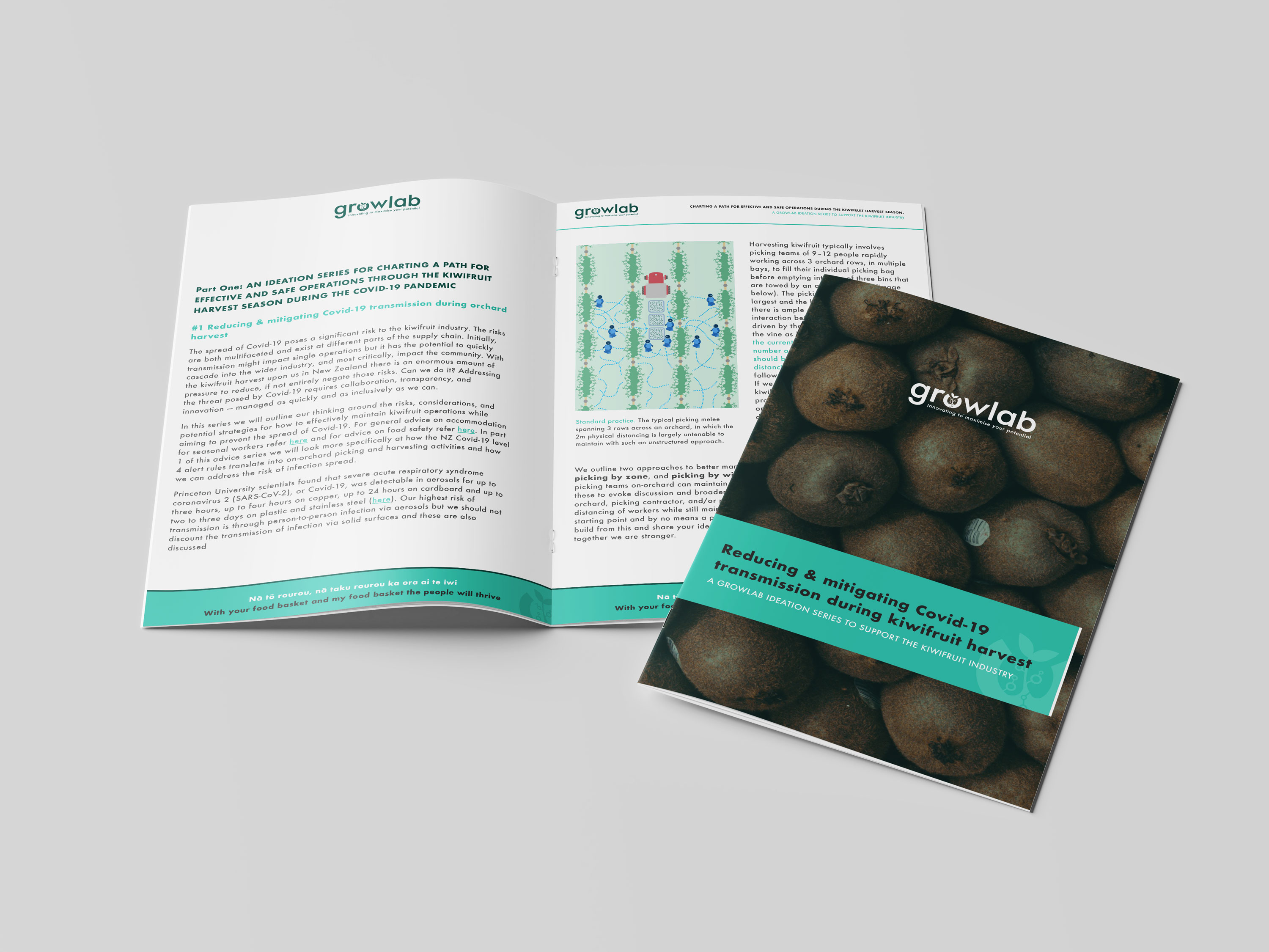 Agri-tech brand | dollop | websites, branding and illustration