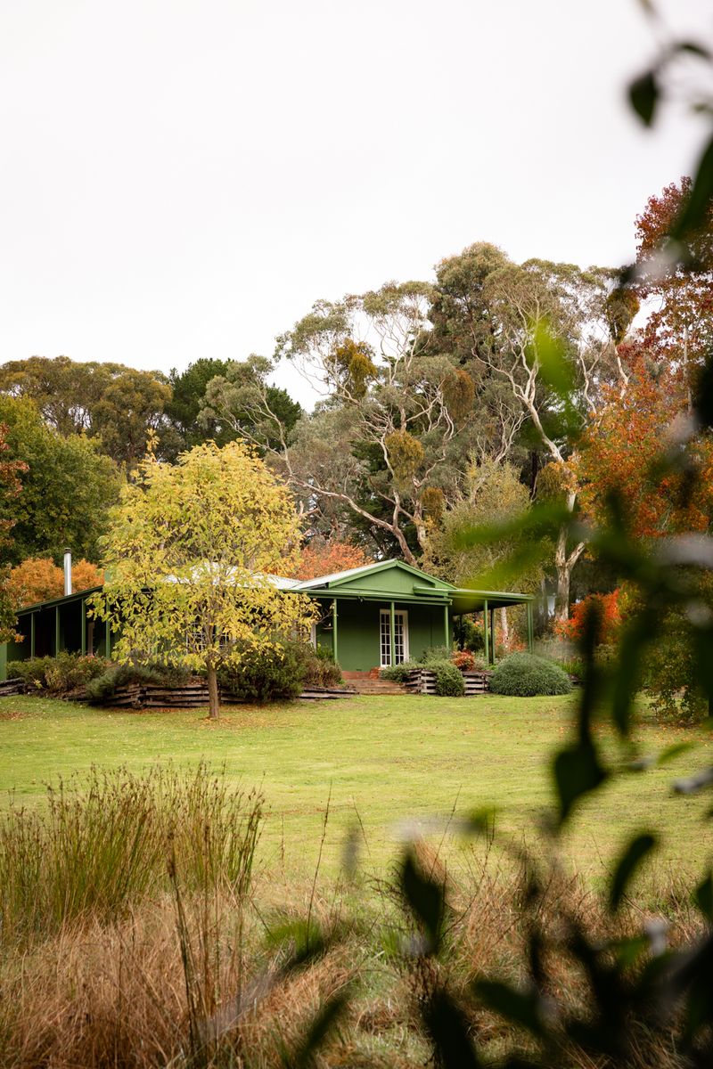 Activities – Mylor Farm