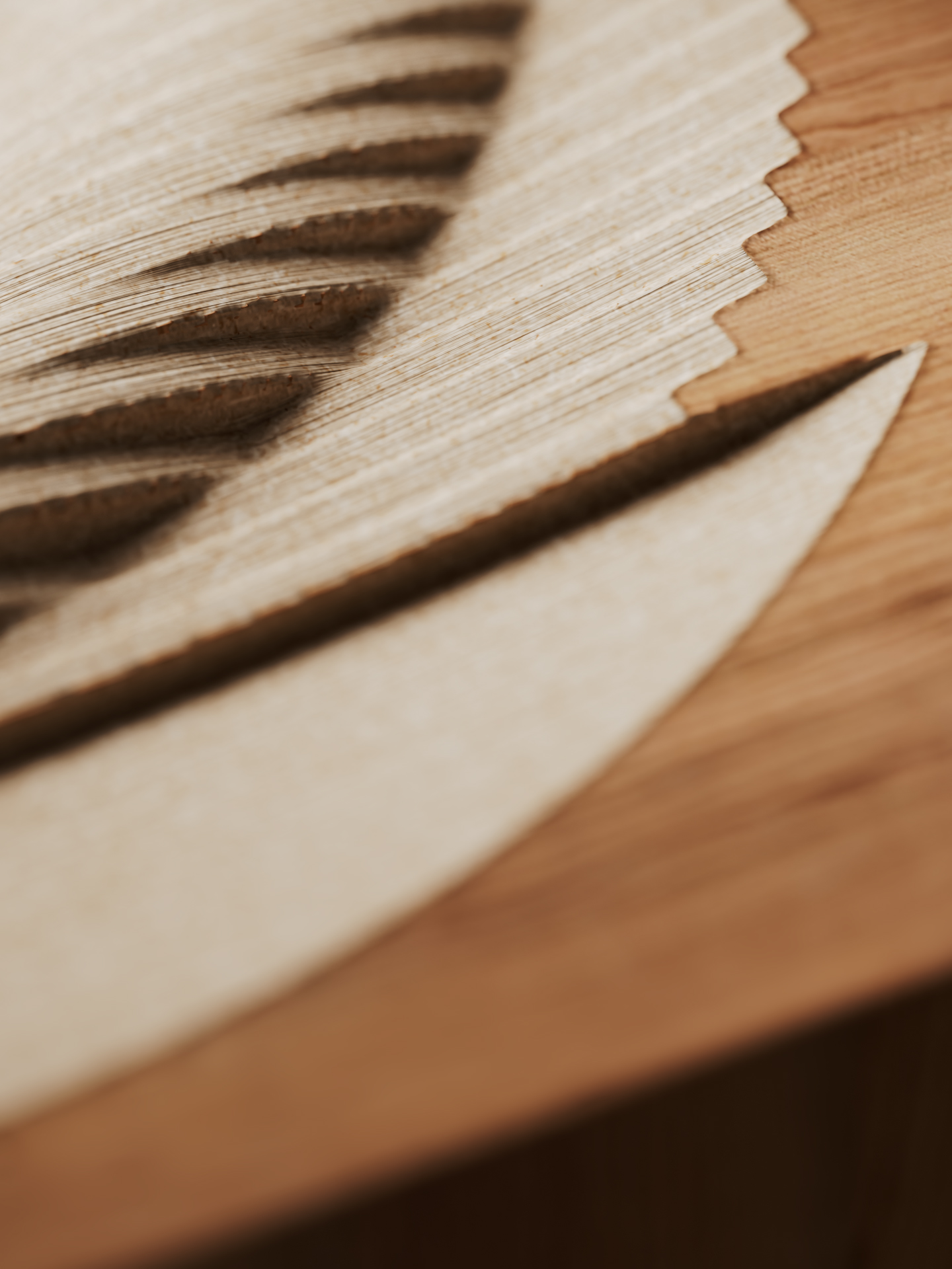 Wood Exploration — Thiago Tallmann