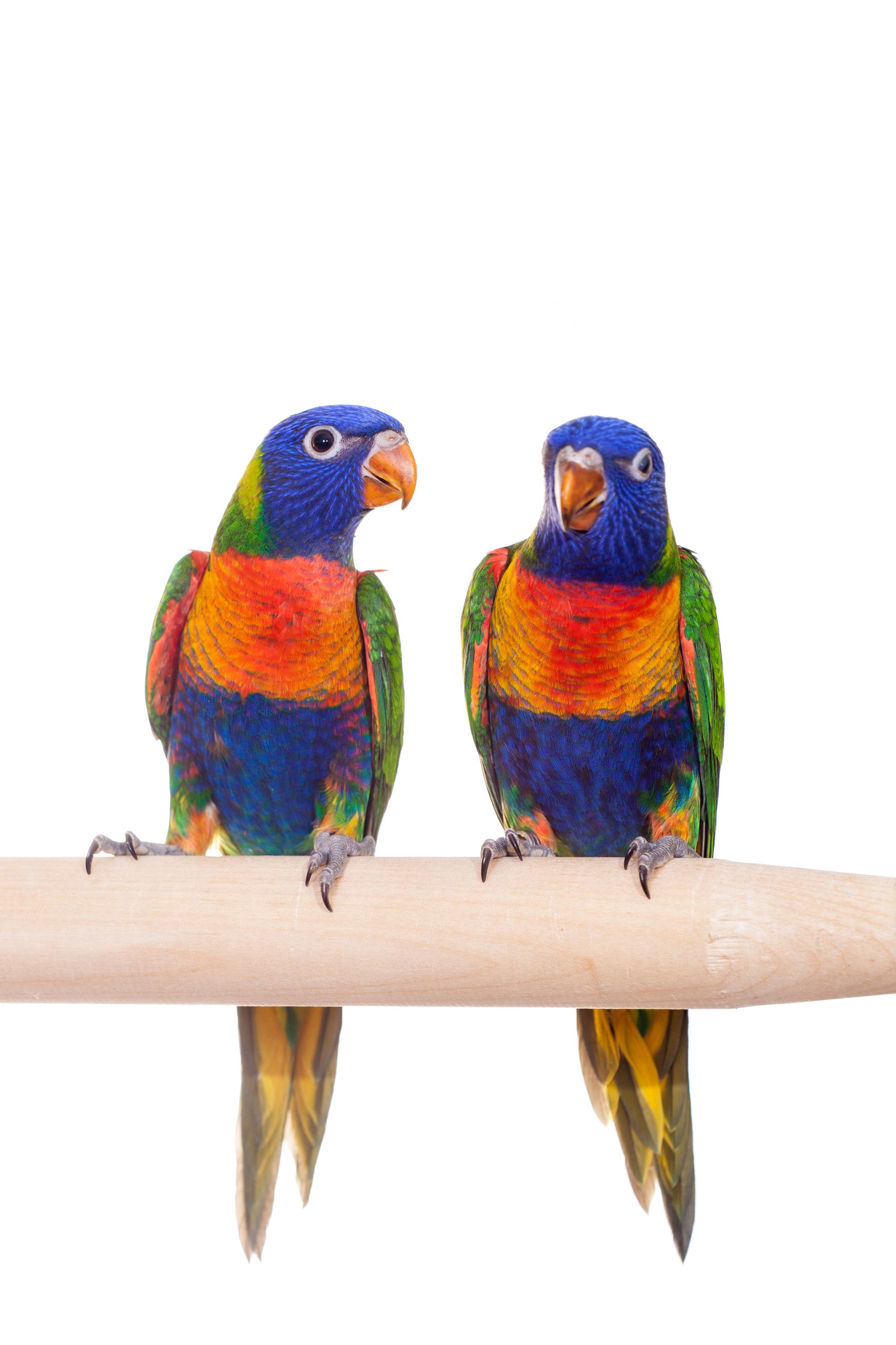 Keneng - Flexible Packaging