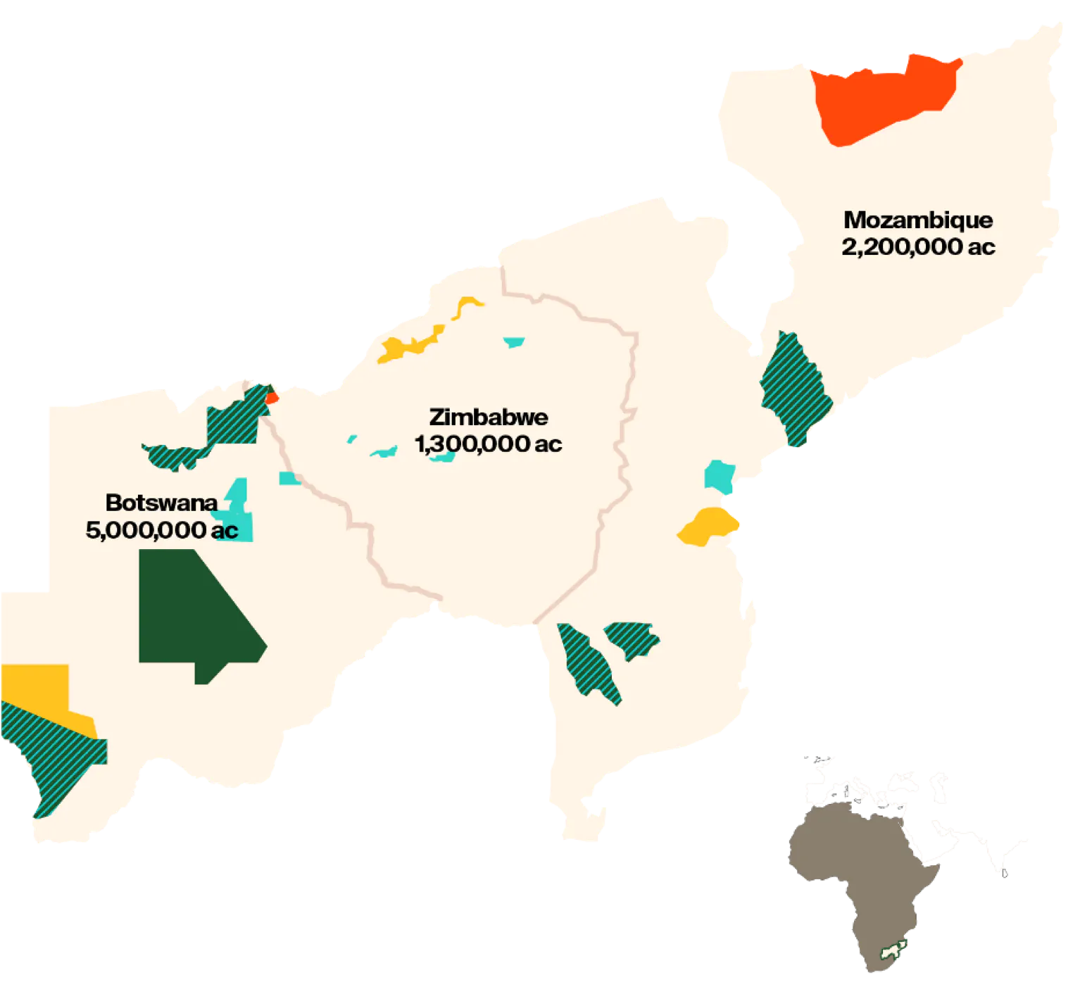 Akashinga - People, Planet, Future