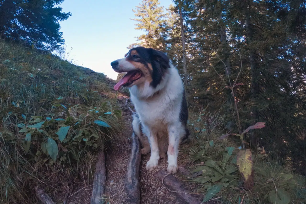 Hiking from Oberammergau to Schartenkopf and Laber I travelhunter