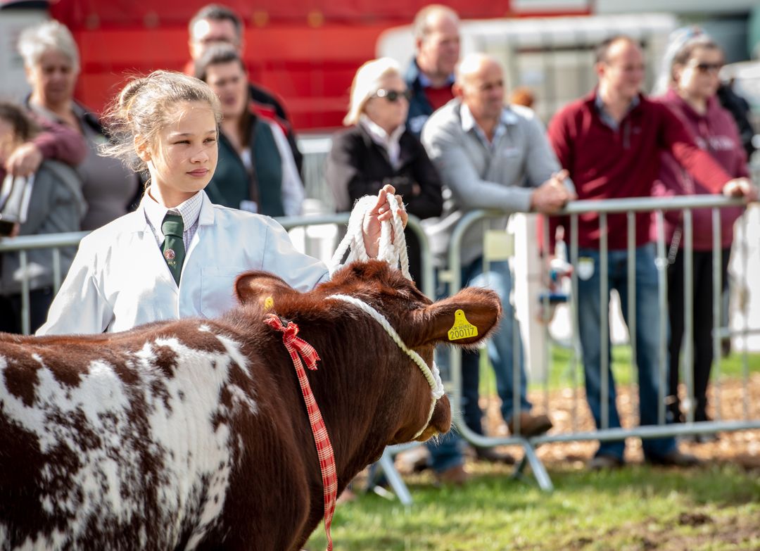 Royal Cornwall Show 2024 - Cornwall's BIGGEST Annual Event