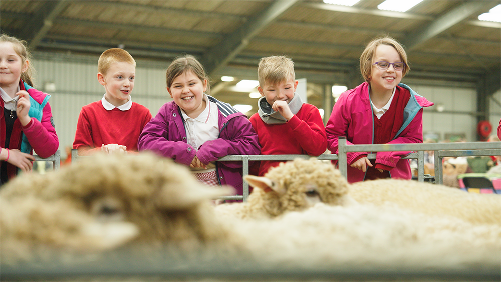 Royal Cornwall Show 2024 - Cornwall's BIGGEST Annual Event