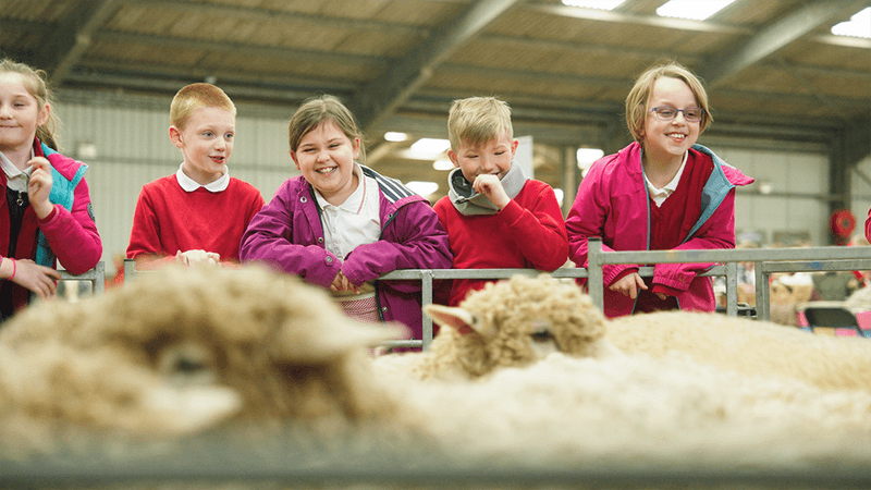 Royal Cornwall Show 2024 - Cornwall's BIGGEST Annual Event