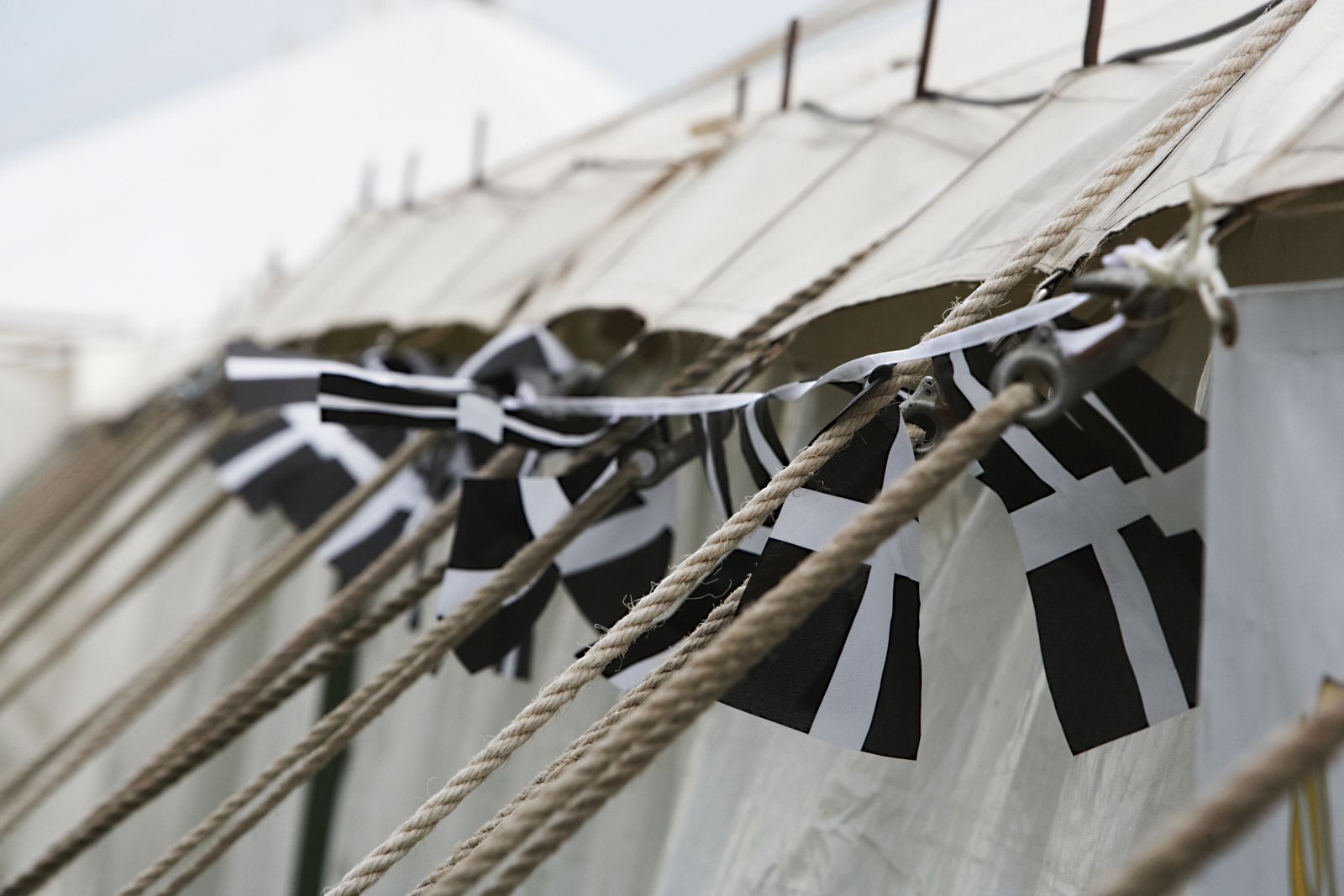 Royal Cornwall Show 2024 - Cornwall's BIGGEST Annual Event