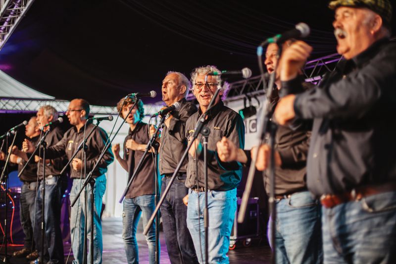 Royal Cornwall Show 2024 - Cornwall's BIGGEST Annual Event