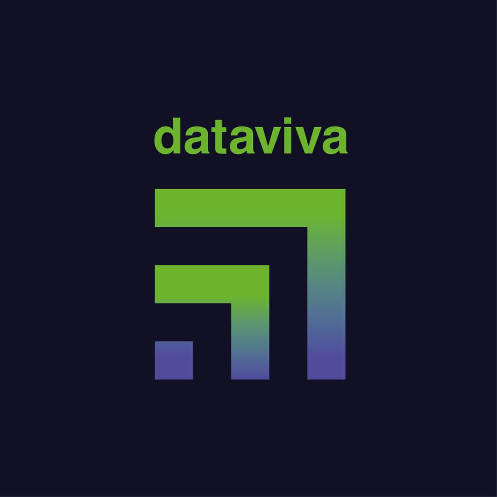 Data Viva | Nosotros