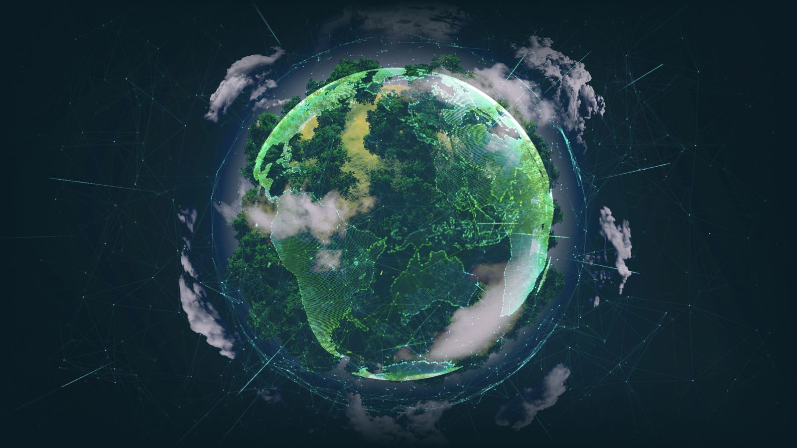 EUDR Geolocation Tool - Single.Earth