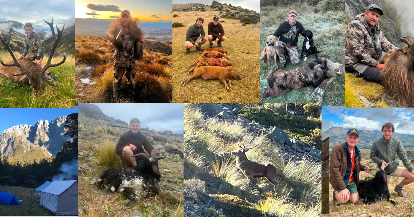 South Island Hunting