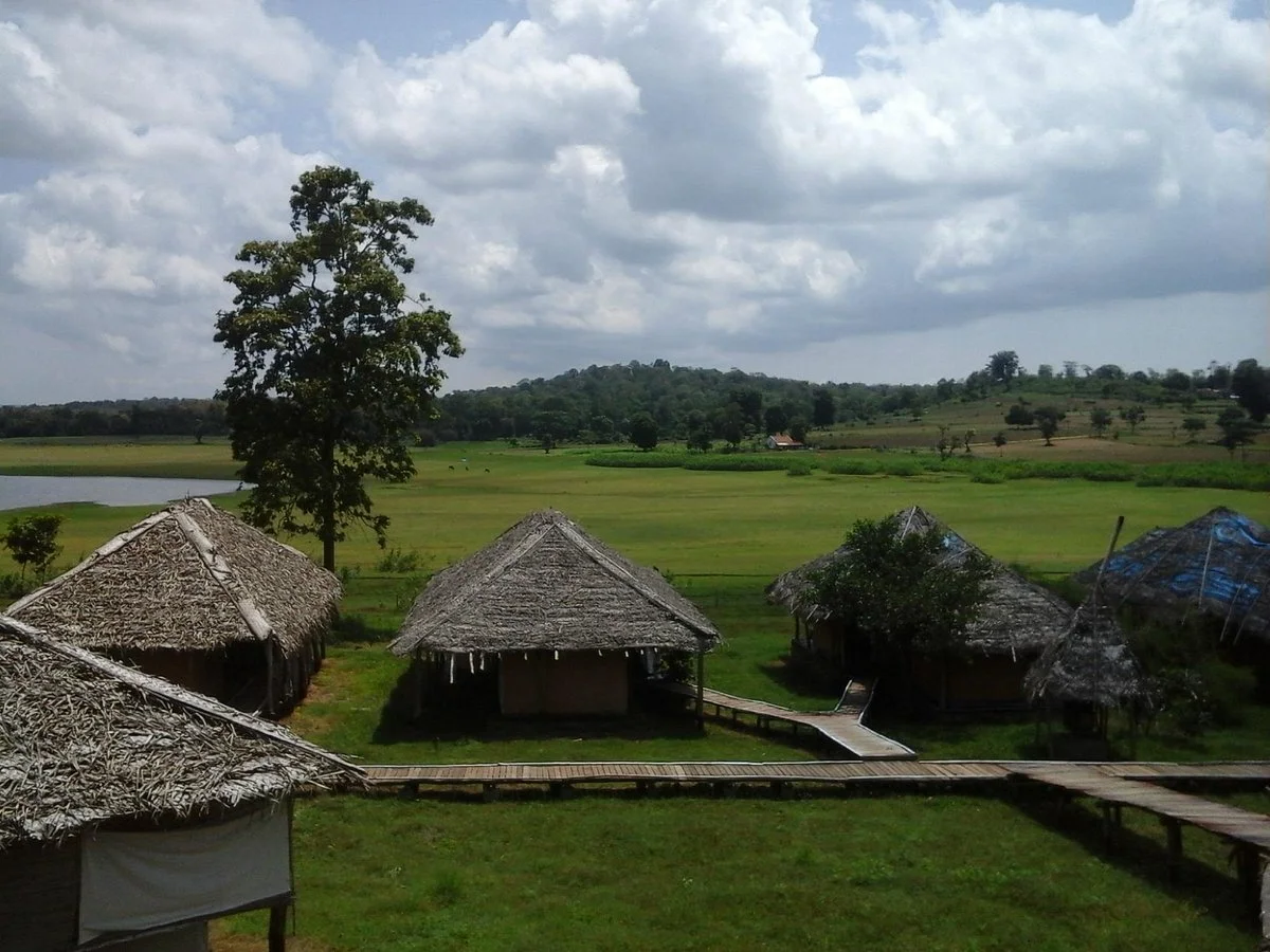 The Bison Resort, Kabini: Nature's Tranquil Haven | Trebound