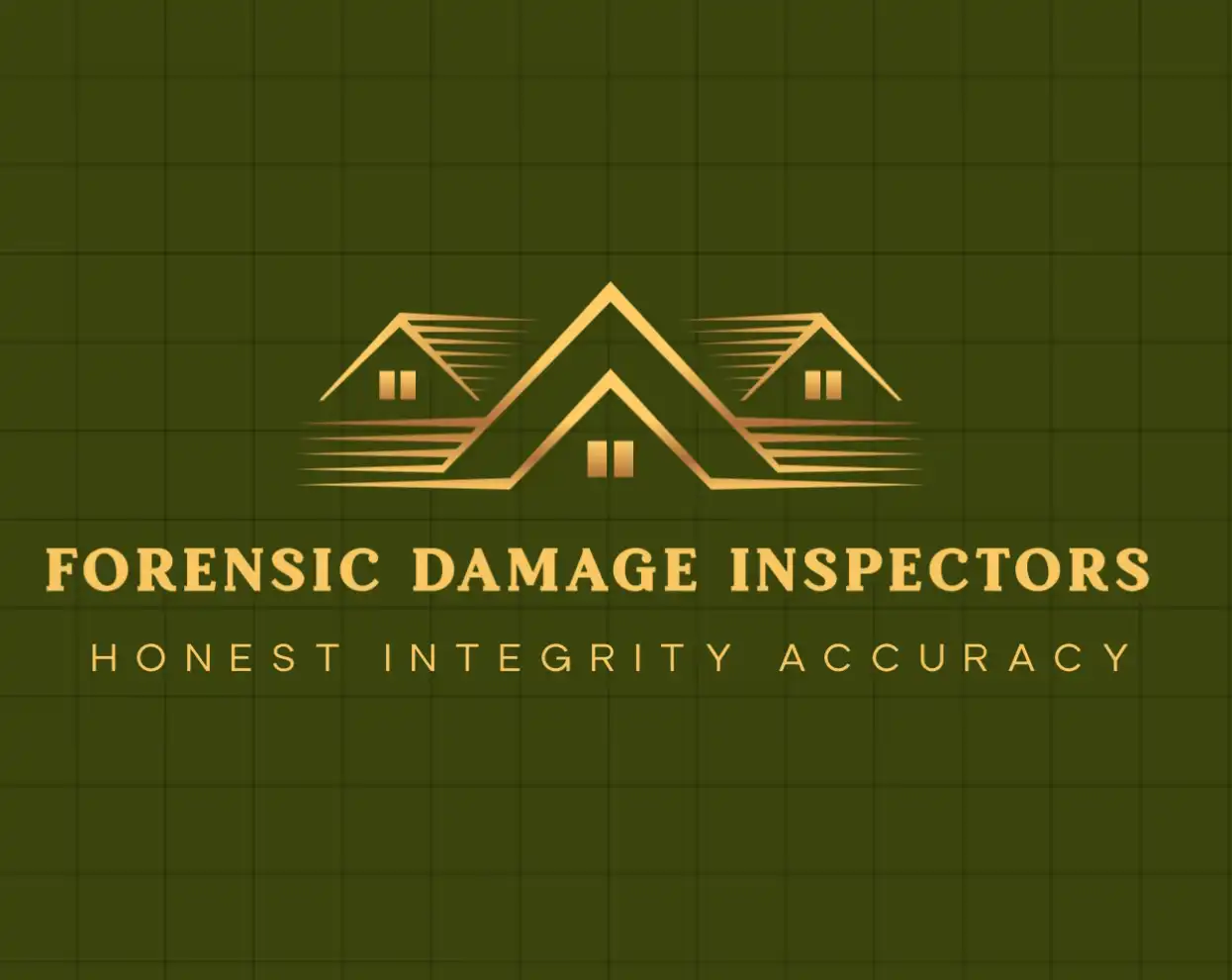 Adjuster Meeting Assistance | Forensic Damage Inspectors