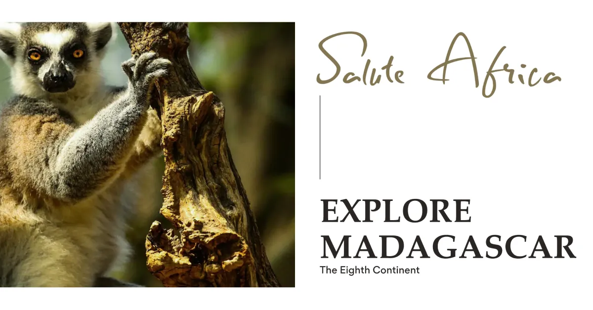 See The Baobabs & More With Our Luxury Madagascar Holidays | Salute Africa