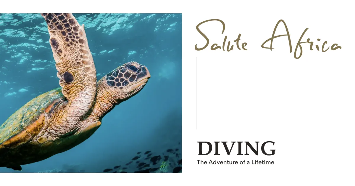 Diving Spots & Luxury Diving Holidays In Africa | Salute Africa