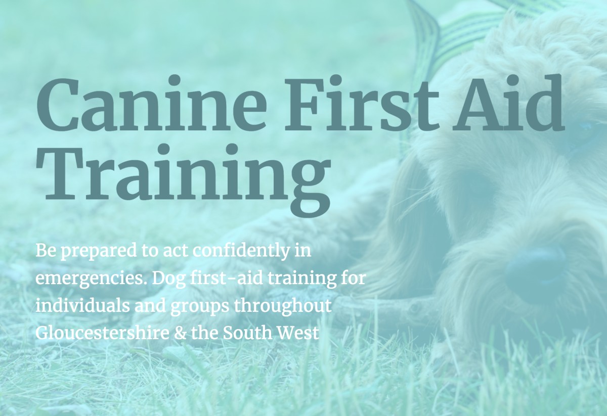 Contact KK9 First Aid training